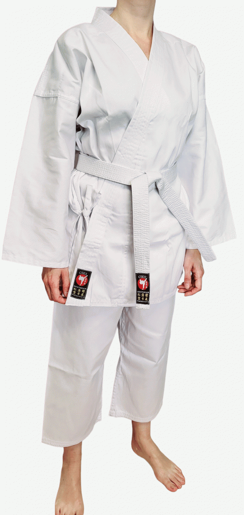 Quelle kimono de karaté choisir